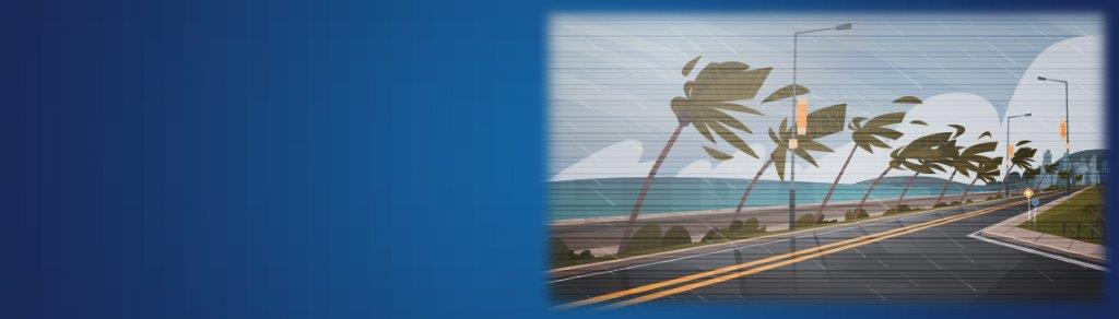 Safety In The Storm Cpsc Gov