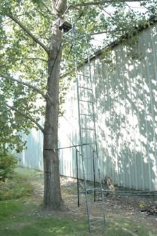 Kong Maxx Ladder Stands Sold at Gander Mountain Recalled Due to Fall ...